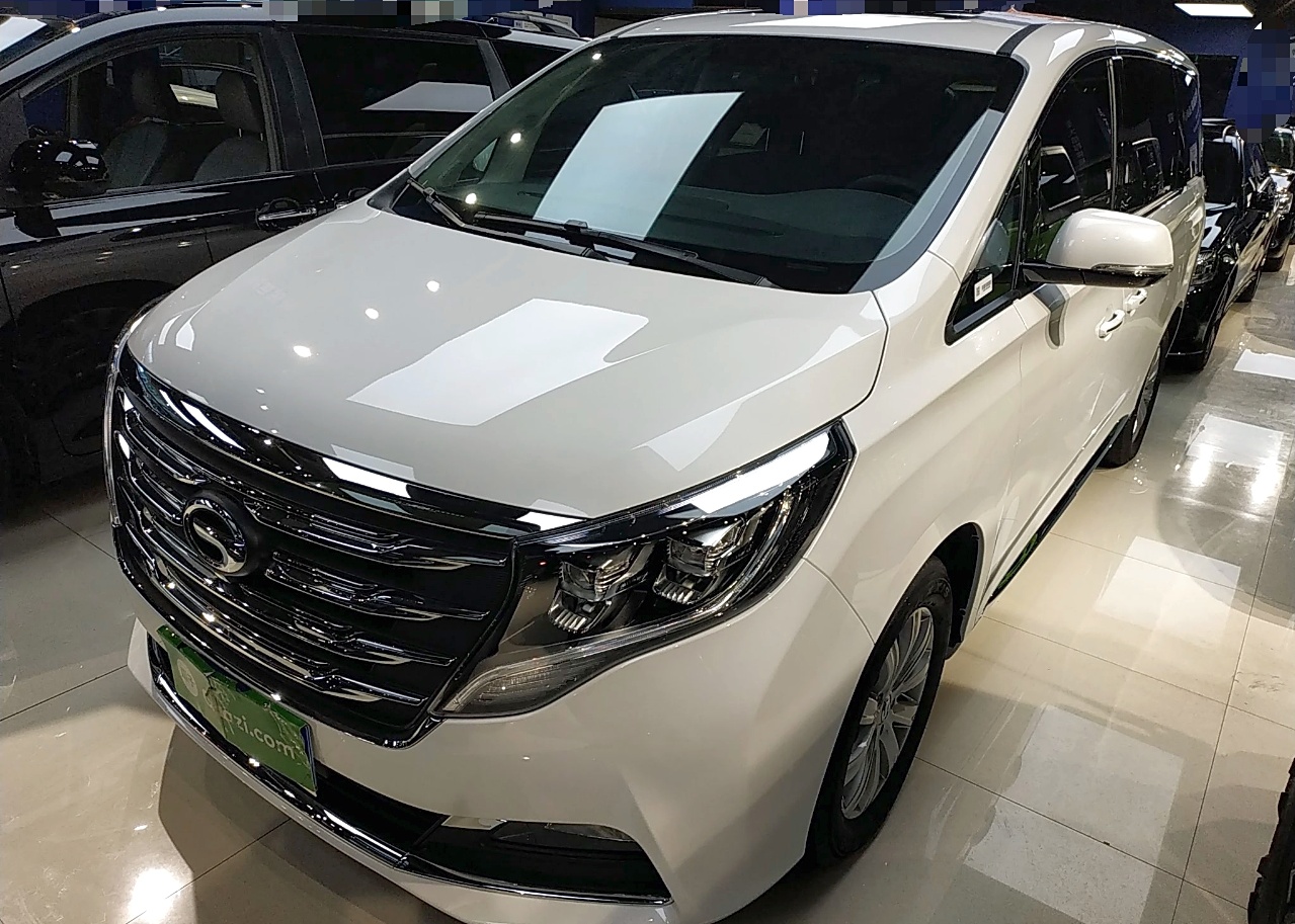 gm8传祺2020款图片,gm8传祺2020款,2020款广汽传祺gm8(第9页)_大山谷图库